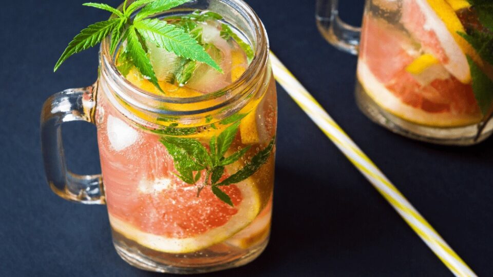 Cannabis Drinkables: Why are they Popular among Cannabis Lovers ...